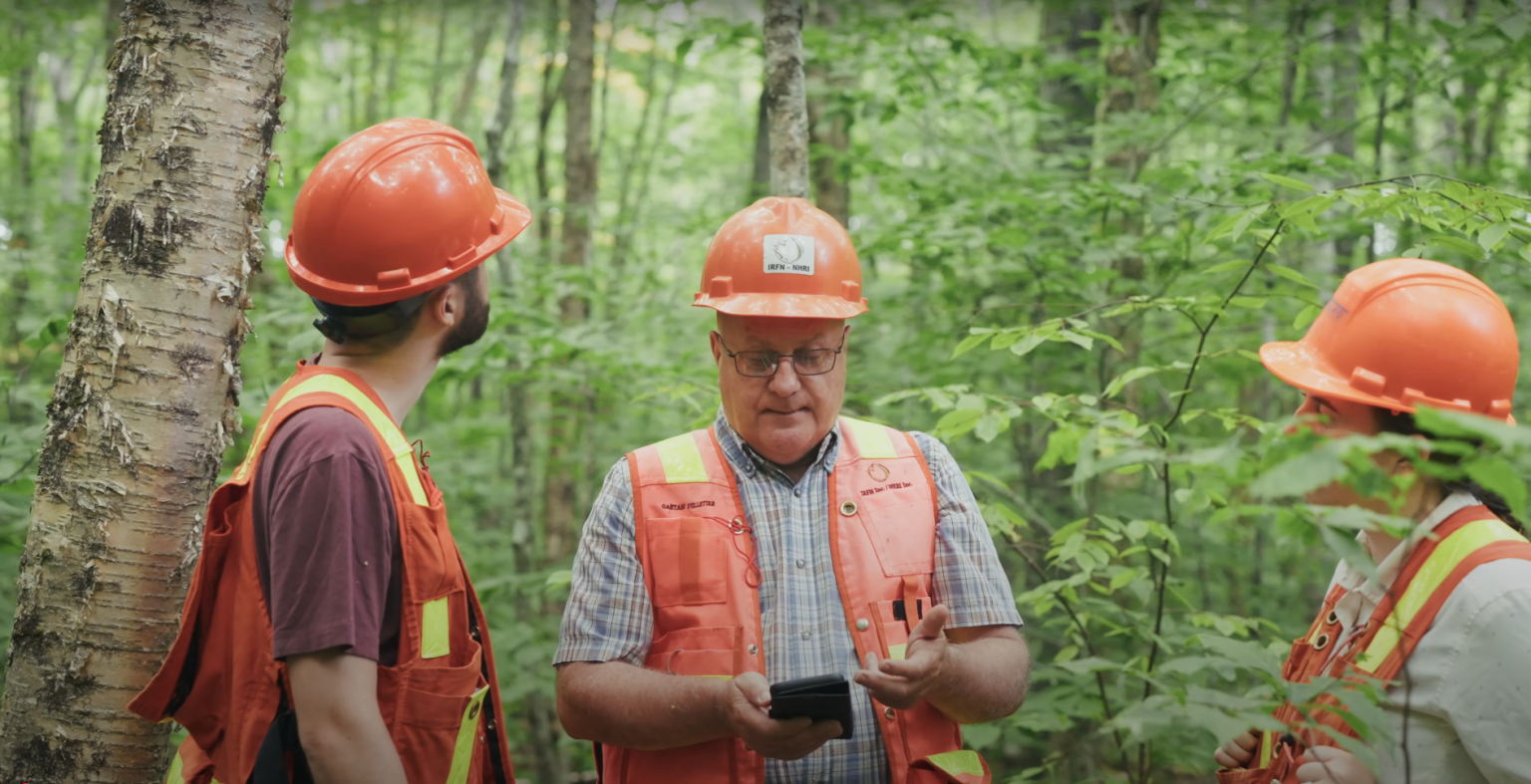 Forestry - Research NB